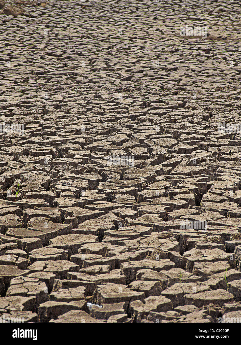 Cracked land in a village hi-res stock photography and images - Alamy