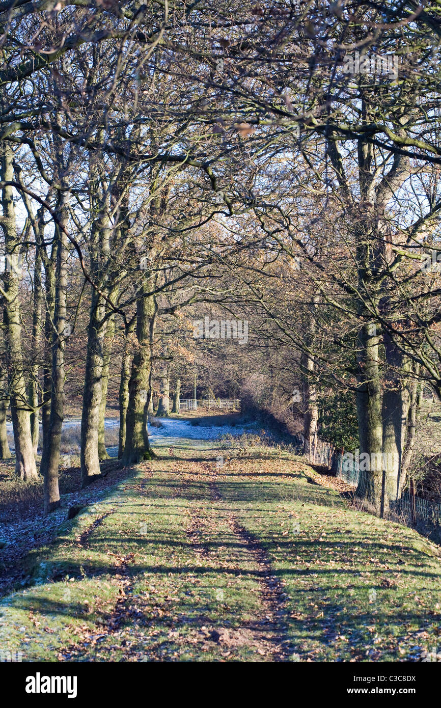 Colliery railway line hi-res stock photography and images - Alamy