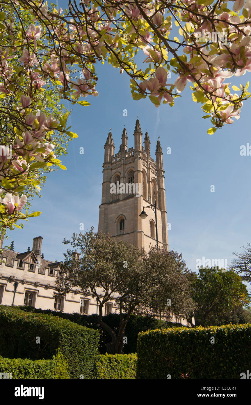 Great tower of magdalen college hi-res stock photography and images - Alamy