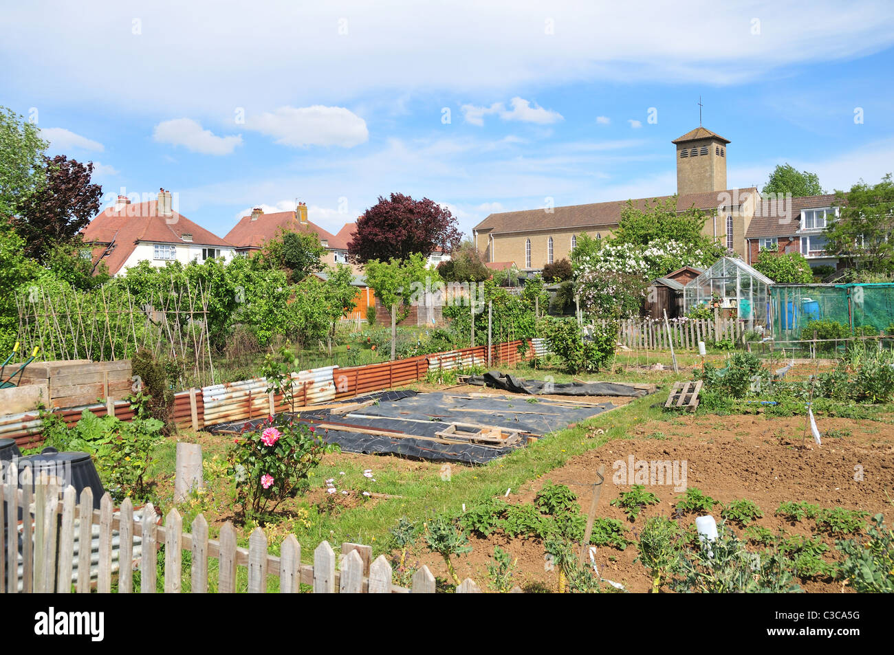 Brighton organic gardens hi-res stock photography and images - Alamy