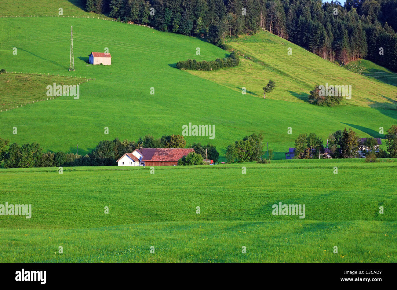 Switzerland farm landscape hi-res stock photography and images - Alamy