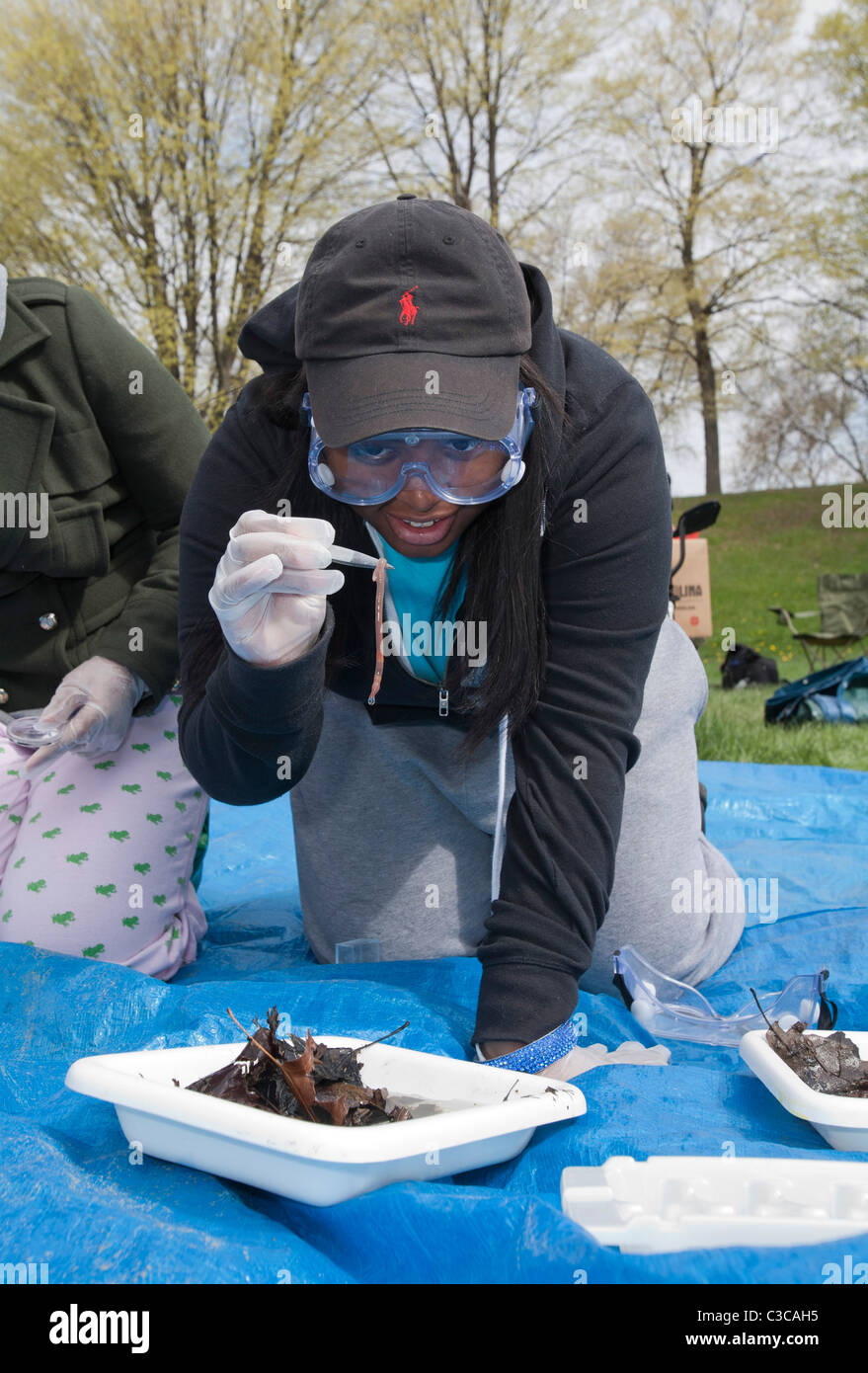 Students Study River Ecology Stock Photo - Alamy