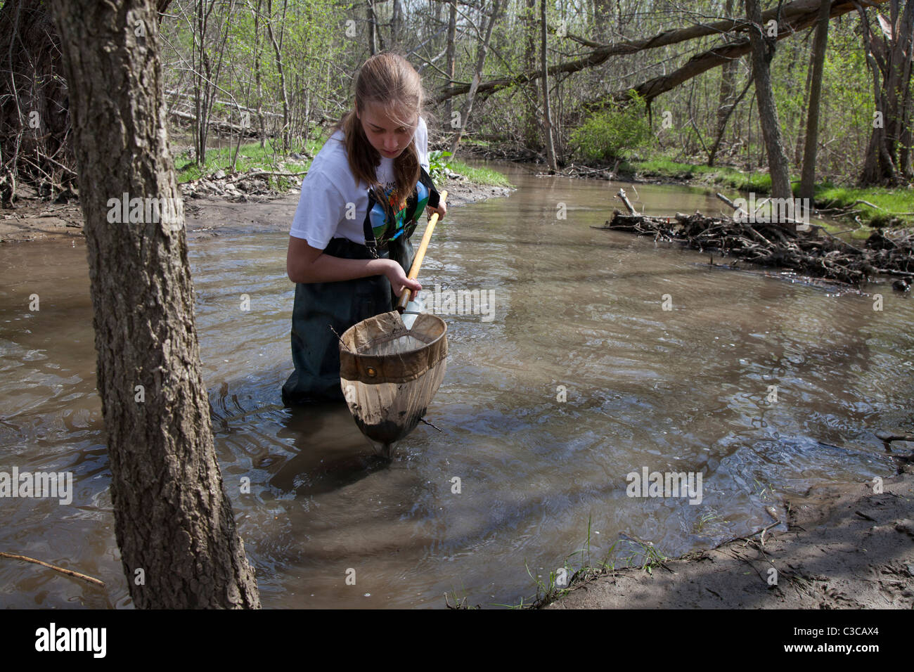 Students Study River Ecology Stock Photo - Alamy