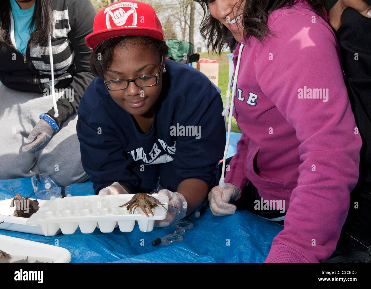 Students Study River Ecology Stock Photo - Alamy