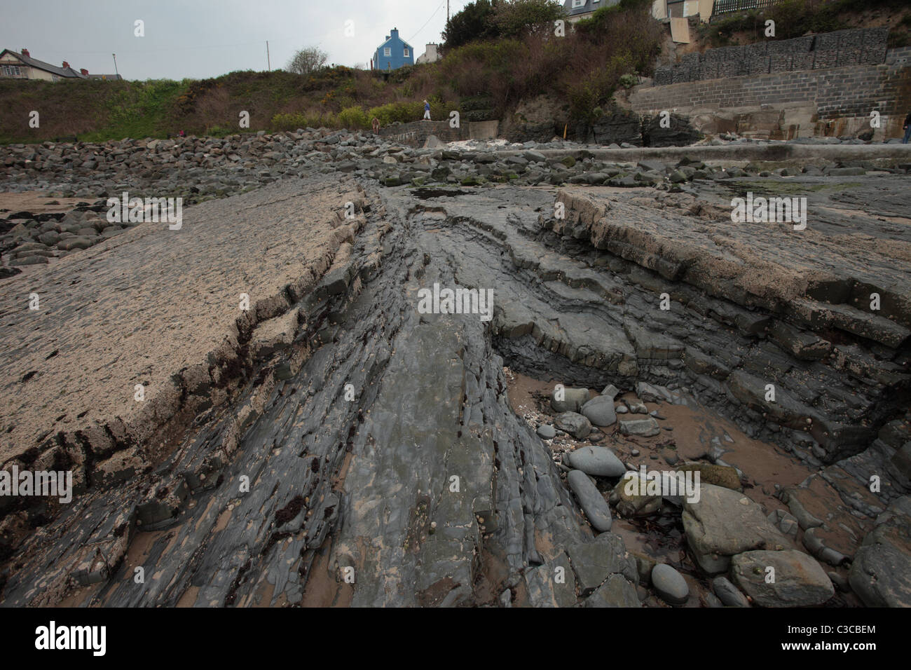 Wave cut platform, and raised beach, New Quay, Ceredigion, Wales Stock ...