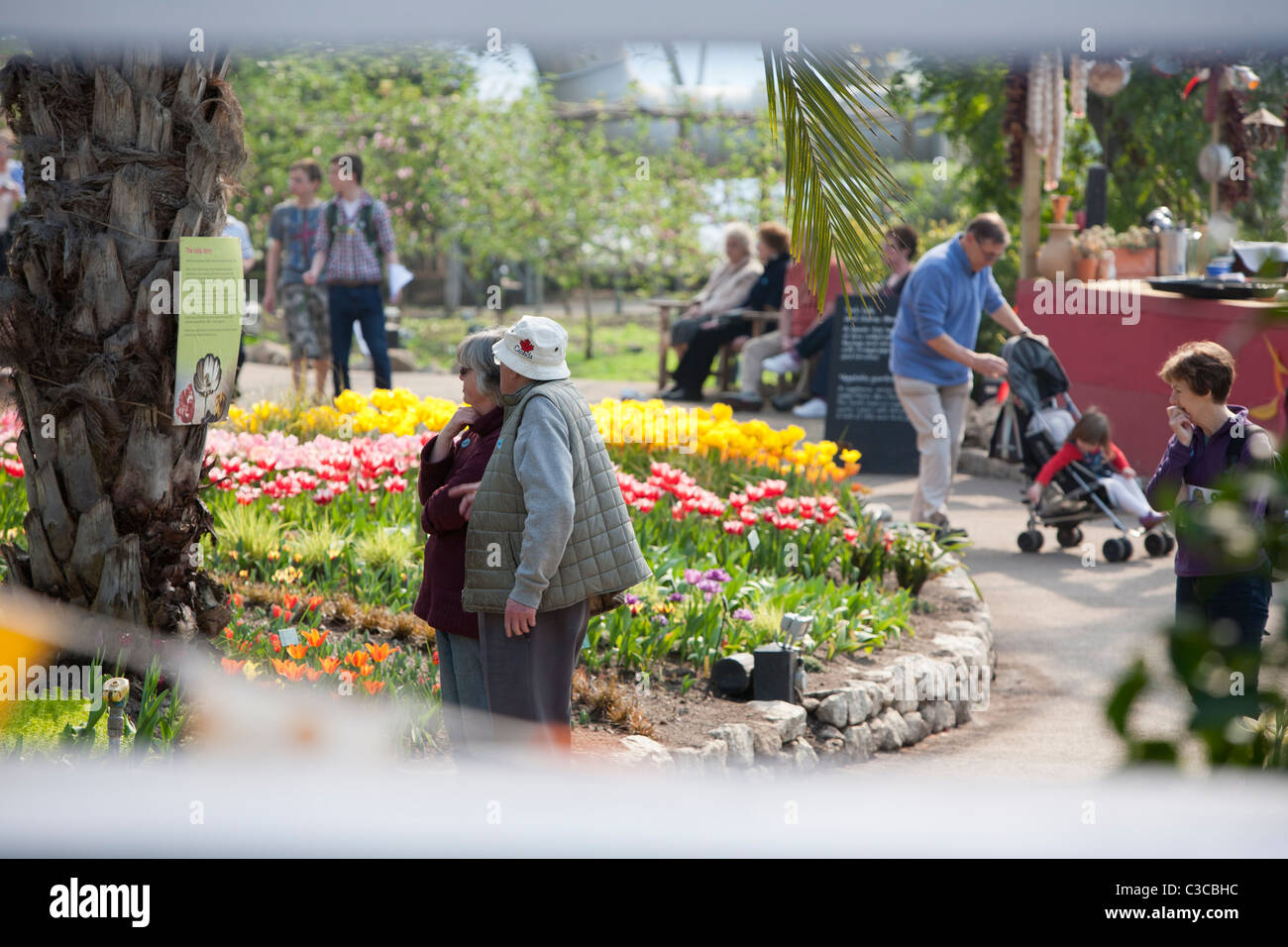 Mediterranean biome hi-res stock photography and images - Alamy