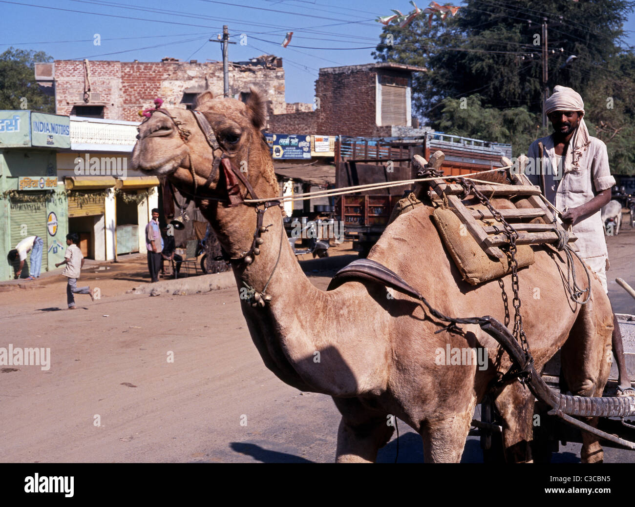 Camel cart driver hi-res stock photography and images - Alamy