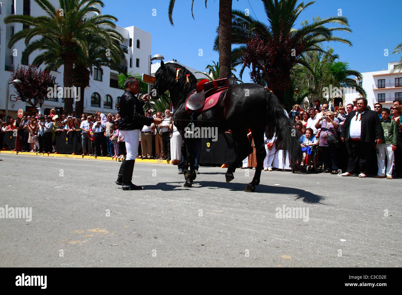 Menorcan Horse High Resolution Stock Photography and Images - Alamy