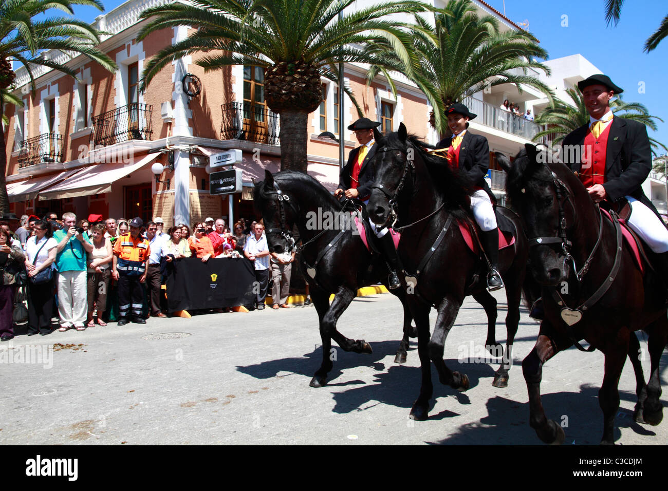 Menorcan Horse High Resolution Stock Photography and Images - Alamy