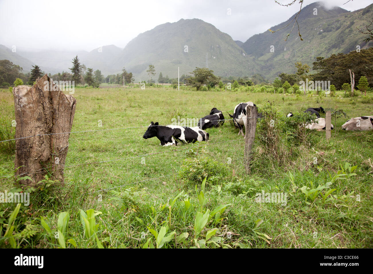 German Settlement Peru High Resolution Stock Photography and Images - Alamy