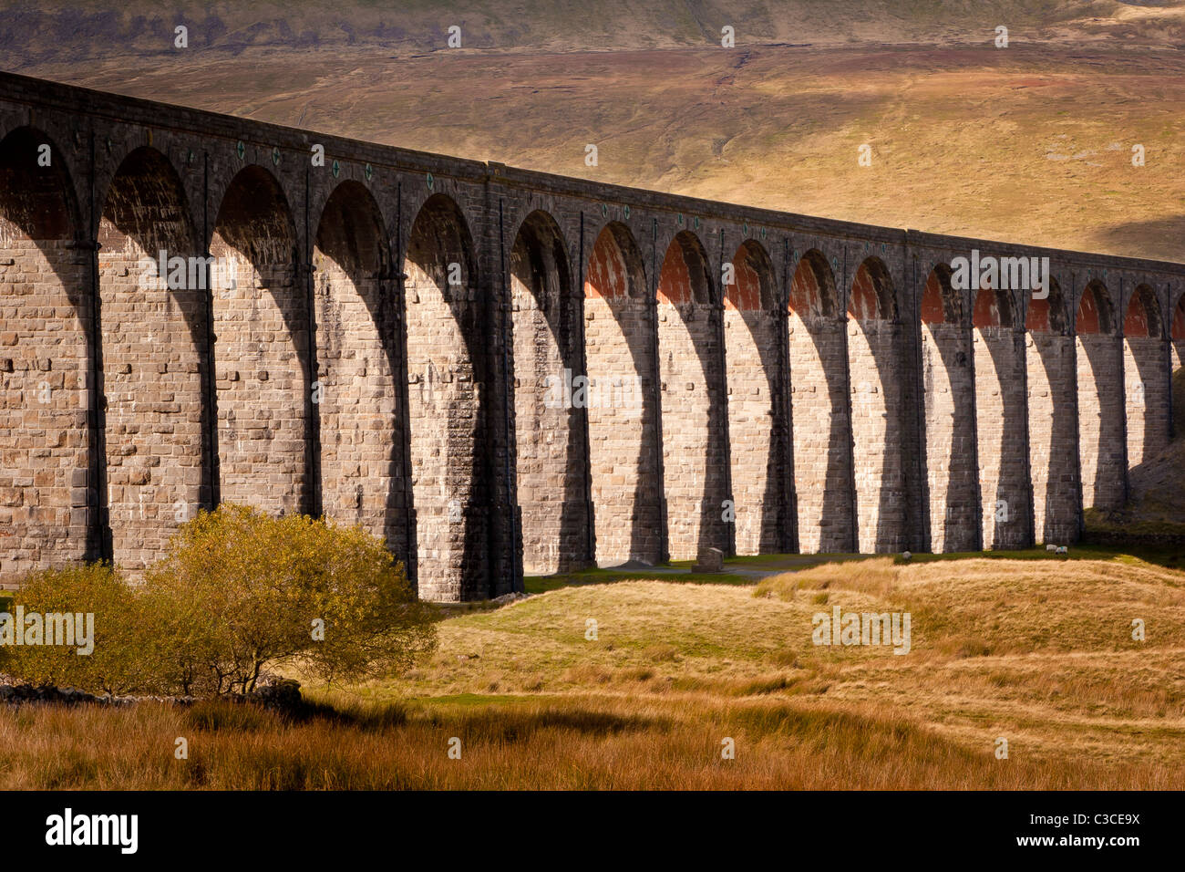 Ribblehead viaduct on the Settle to Carlisle railway Stock Photo - Alamy
