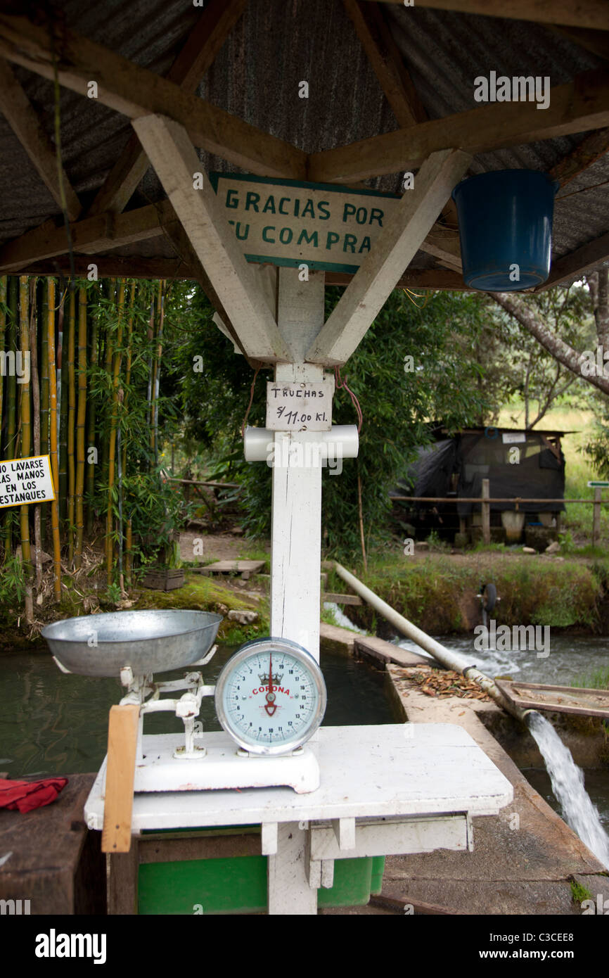 Oxapampa, a rare German Austrian settlement in Peru's high Amazon ...