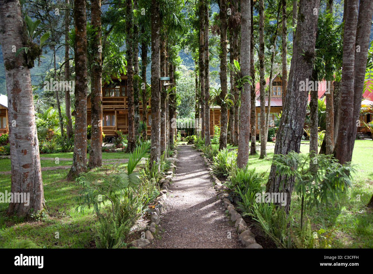 Oxapampa, a rare German Austrian settlement in Peru's high Amazon ...