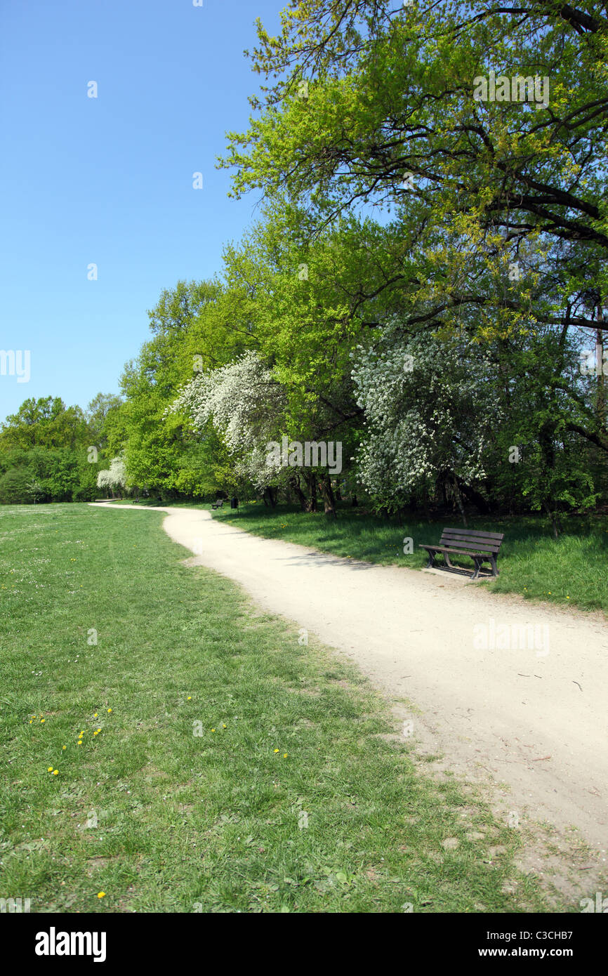Pathway through the spring park Stock Photo - Alamy