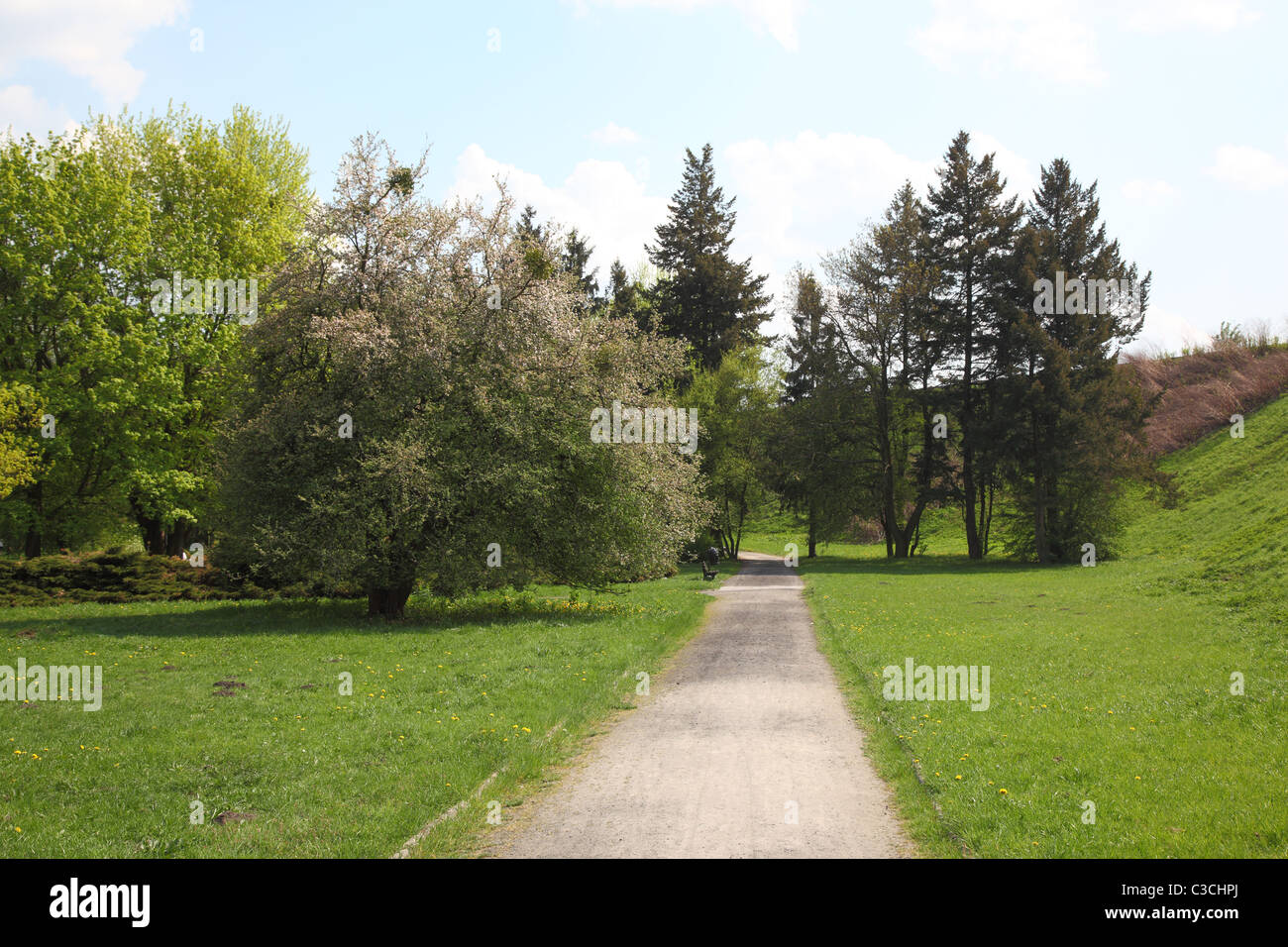 Pathway through the spring park Stock Photo - Alamy