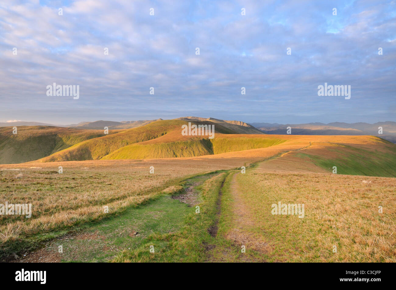 Dawn sunlight on footpath on Great Dodd in the English Lake District ...