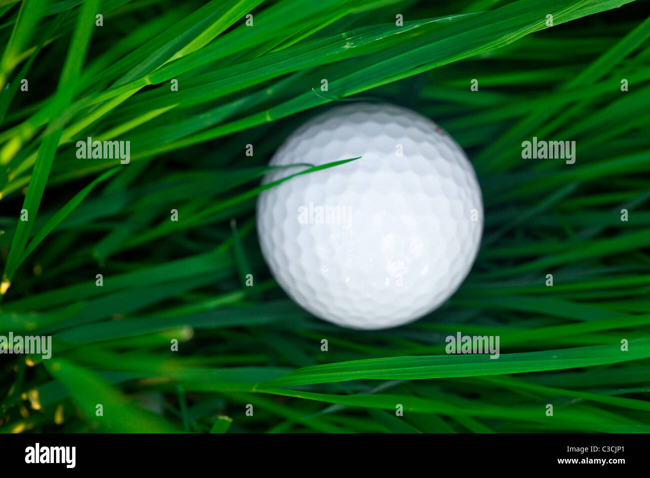 background of spring green grass and golf ball Stock Photo - Alamy
