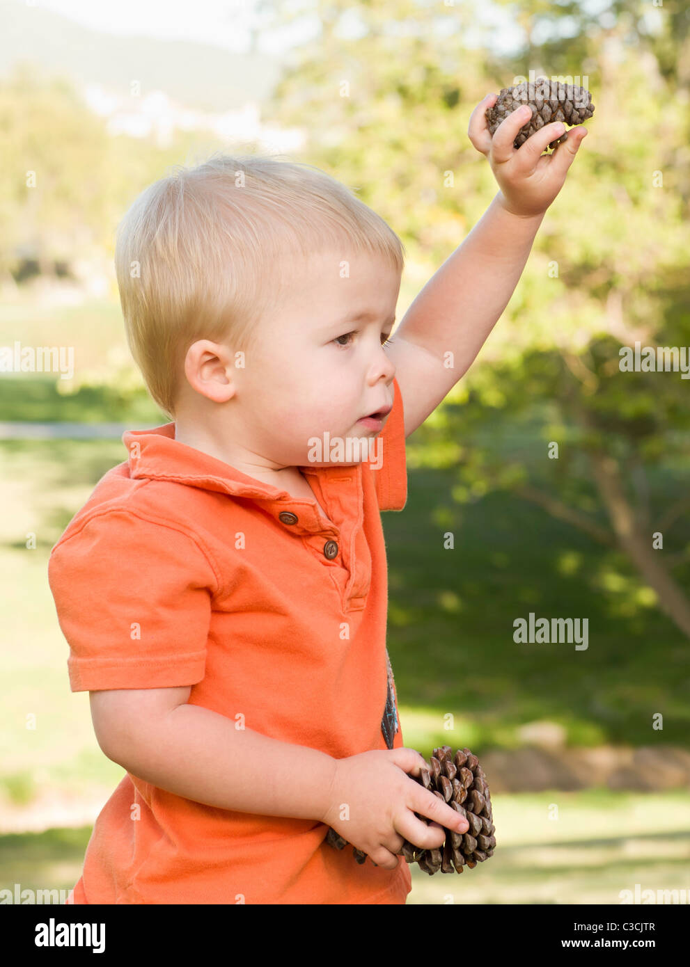 Cute Young Baby Boy Portrait Holding Pine Cones in The Park Stock Photo ...