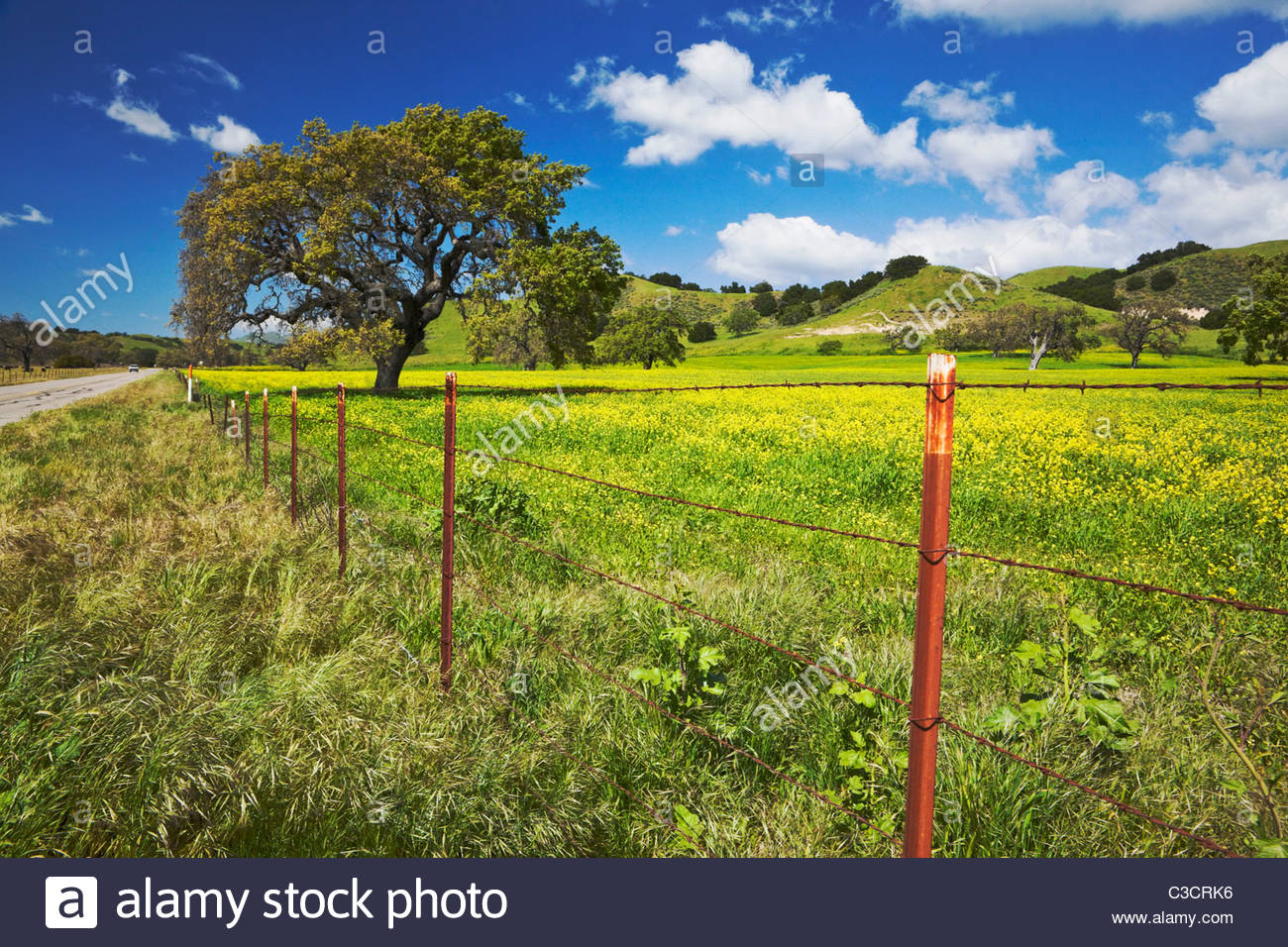 Roads Roadside Trees High Resolution Stock Photography and Images - Alamy