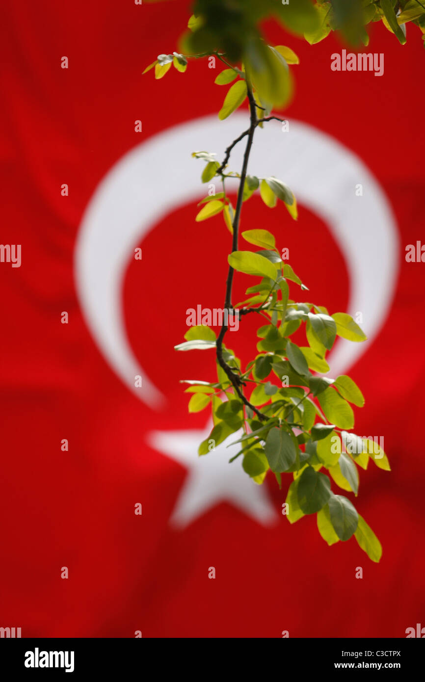 Flag of Turkey Istanbul Turkey Stock Photo - Alamy