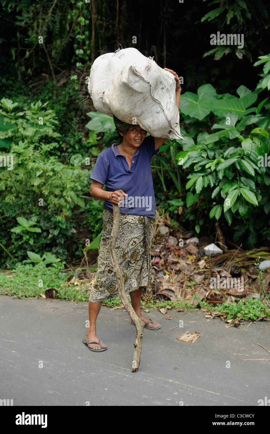 Balinese woman carrying sack hi-res stock photography and images - Alamy