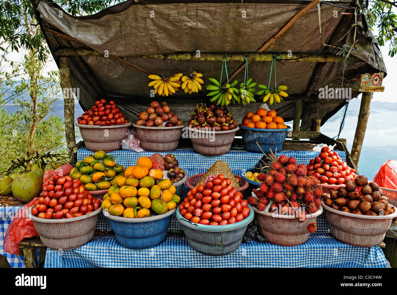 a market stall laden with colorful and exotic fruits, bali, indonesia ...