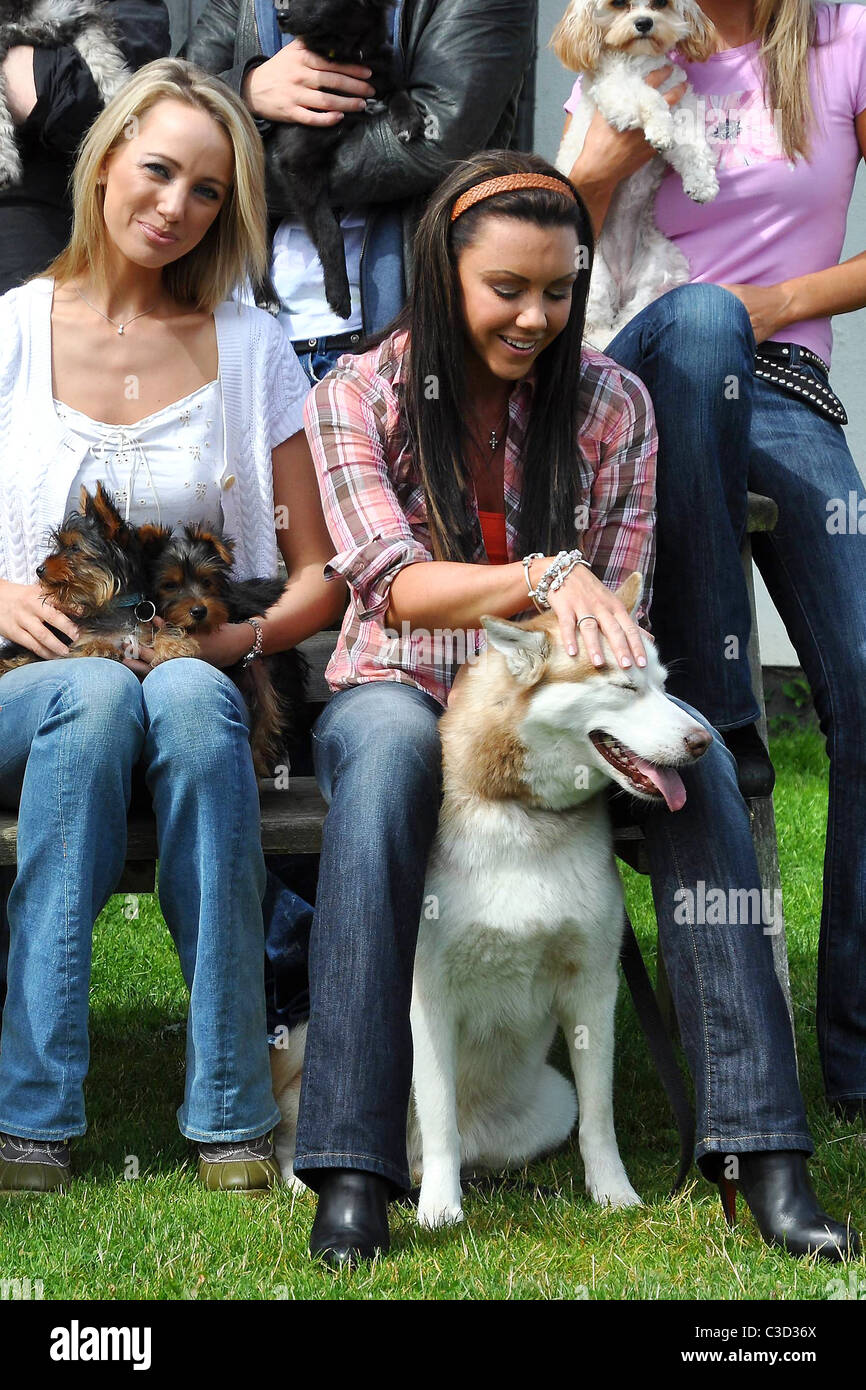 Michelle Heaton and dog Cody Celebrities have their dogs microchipped ...