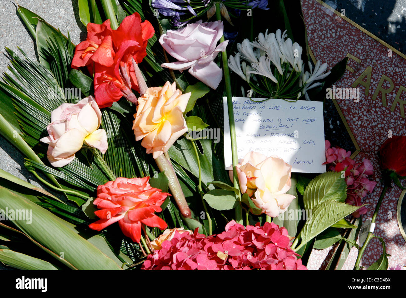 Atmosphere Flowers adorn Farrah Fawcett's star on the Hollywood Walk of ...