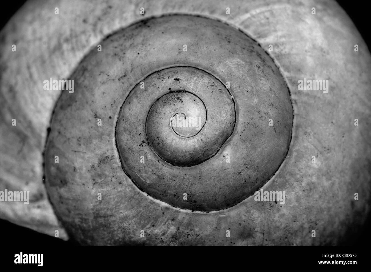 Symbol of immortality hi-res stock photography and images - Alamy