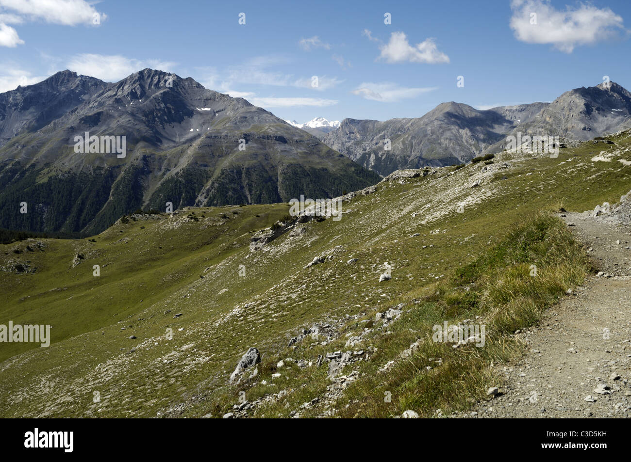 View on Munt La Schera, Swiss National Park Stock Photo - Alamy
