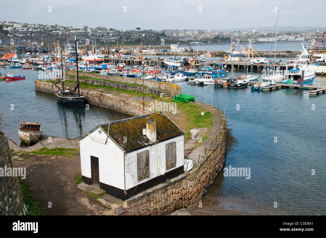 VIew of Newlyn old harbour with restored Cornish sailing Lugger 'Ripple ...