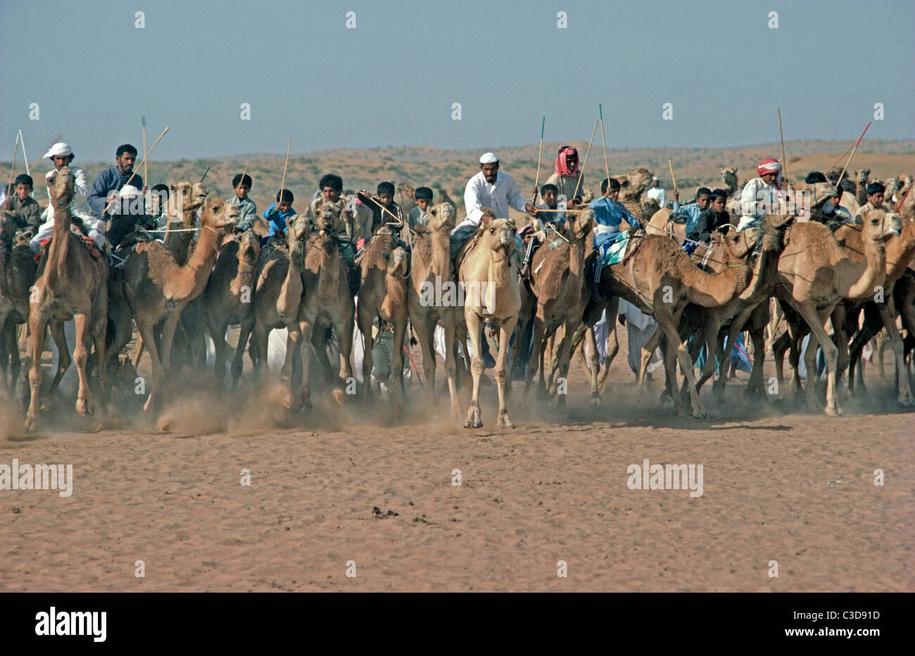 Camel Racing, Dubai, United Arab Emirates, UAE Stock Photo - Alamy