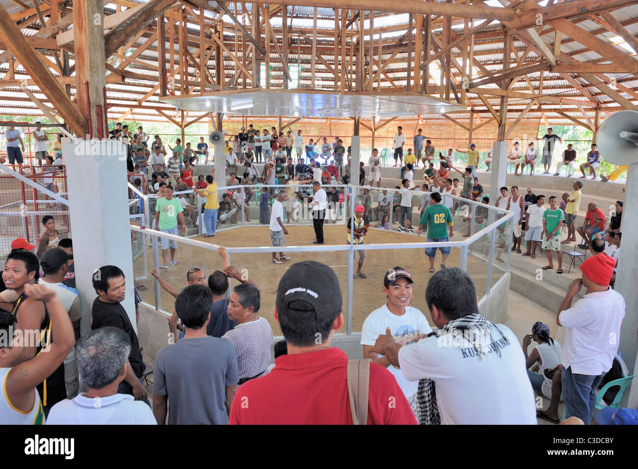 Cockfight hi-res stock photography and images - Alamy