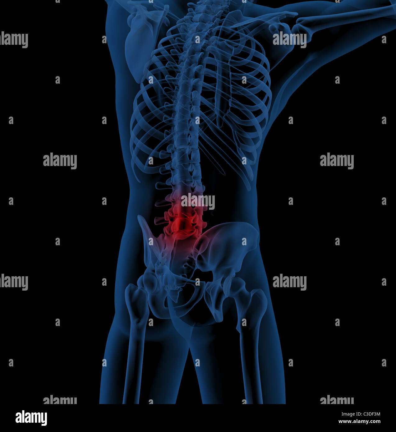 Man back pain anatomy hi-res stock photography and images - Alamy