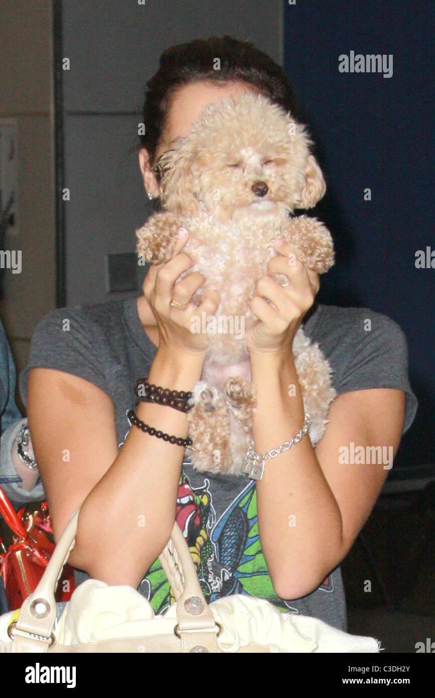 Ashley Tisdale and her dog Maui arriving at JFK International Airport ...