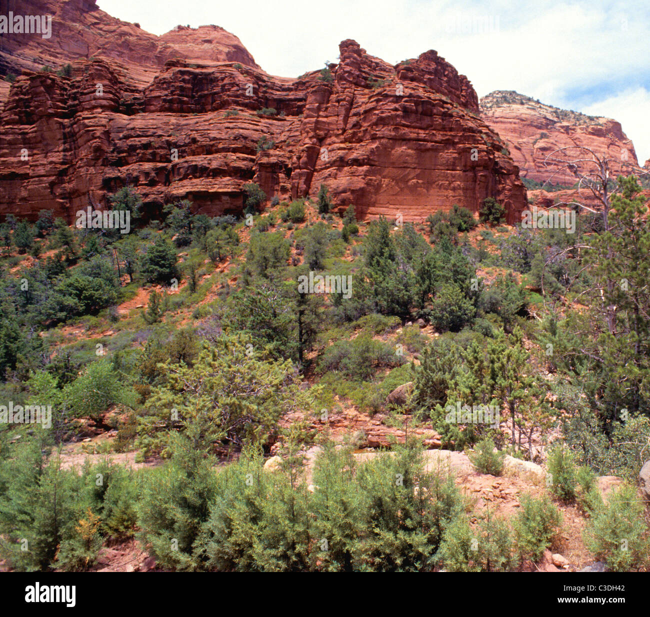 Sedona's main attraction is its stunning array of red sandstone ...