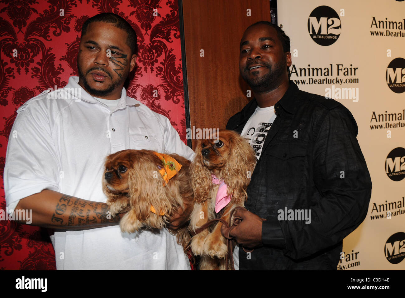 Guests attend the Animal Fair's 10th Annual 'Paws For Style' at M2 ...