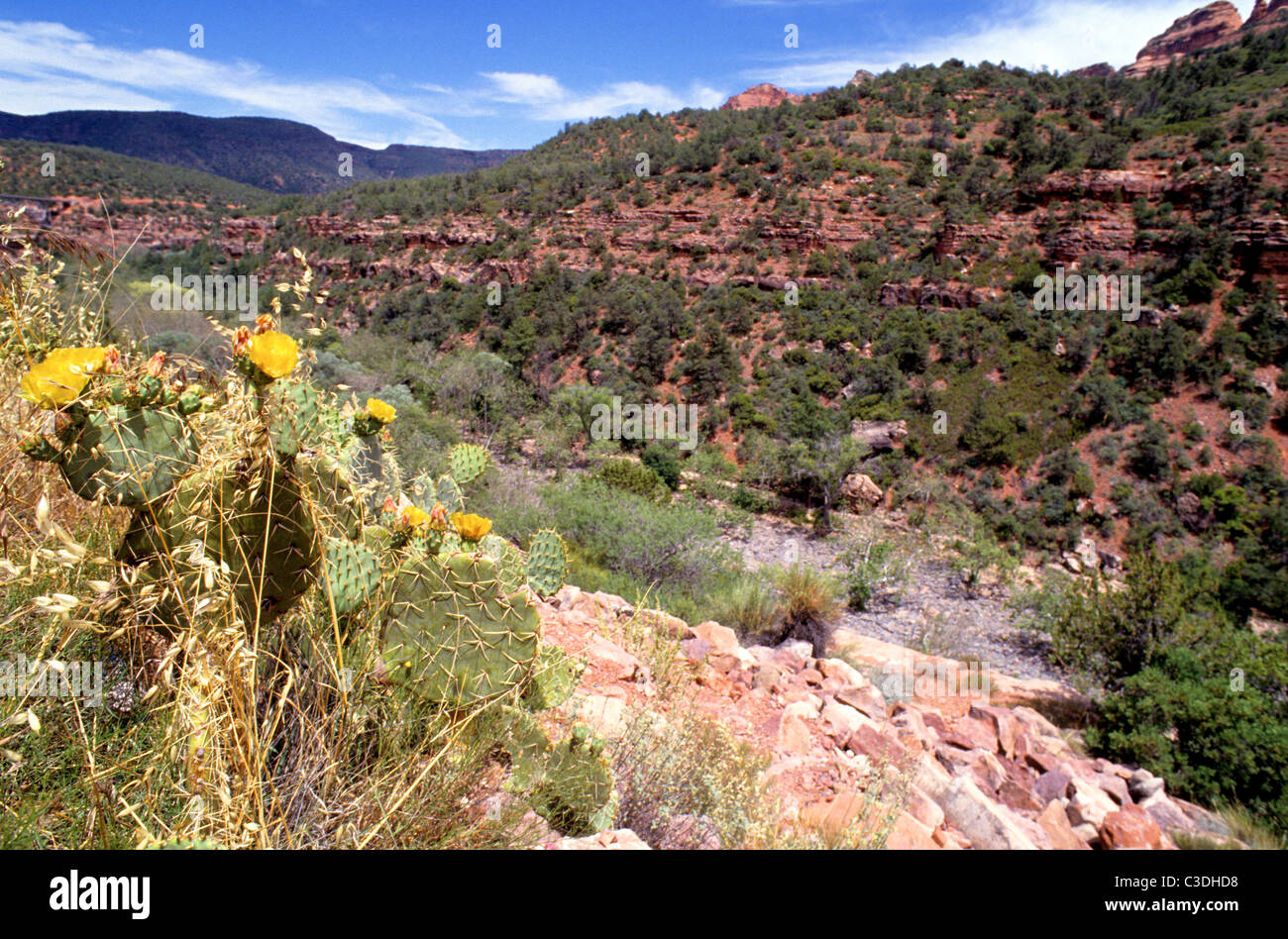 Sedona's main attraction is its stunning array of red sandstone ...