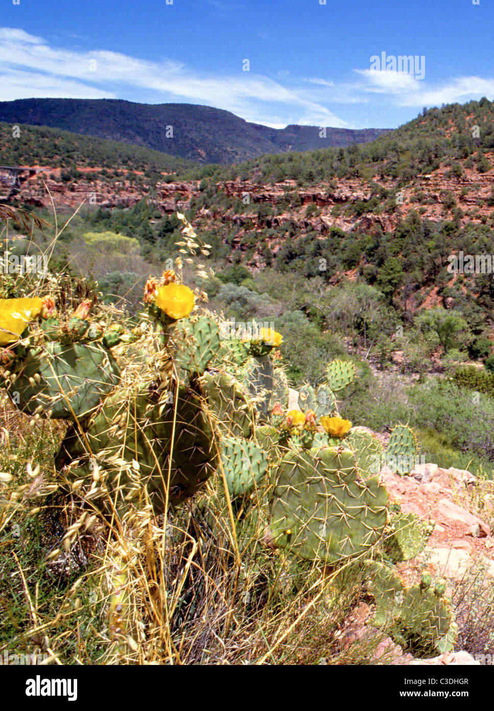 Sedona's main attraction is its stunning array of red sandstone ...