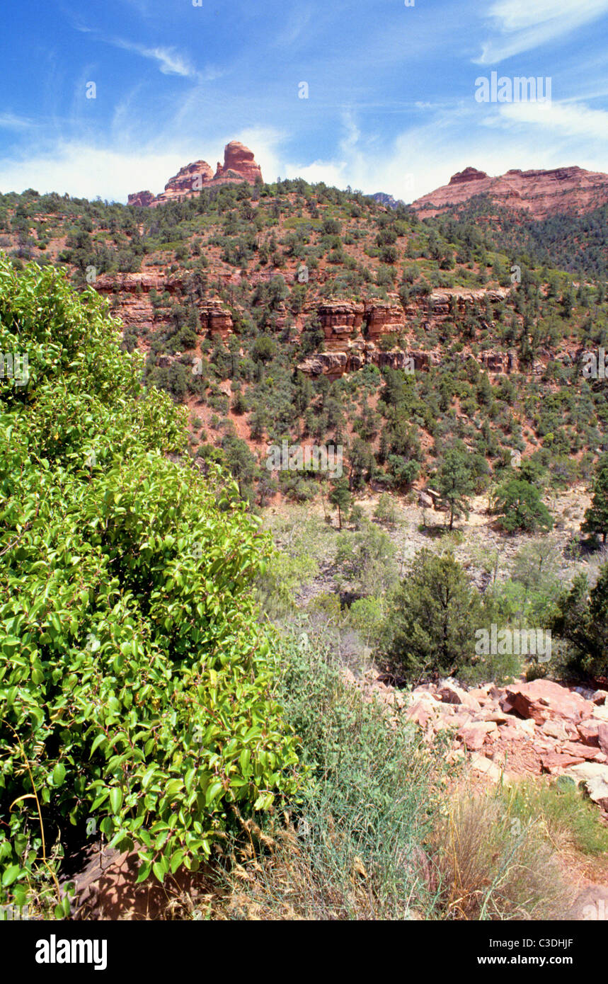 Sedona's main attraction is its stunning array of red sandstone ...