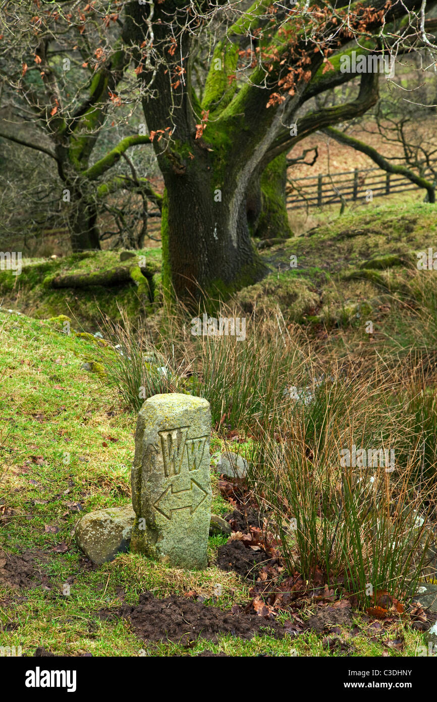 Wyre way hi-res stock photography and images - Alamy