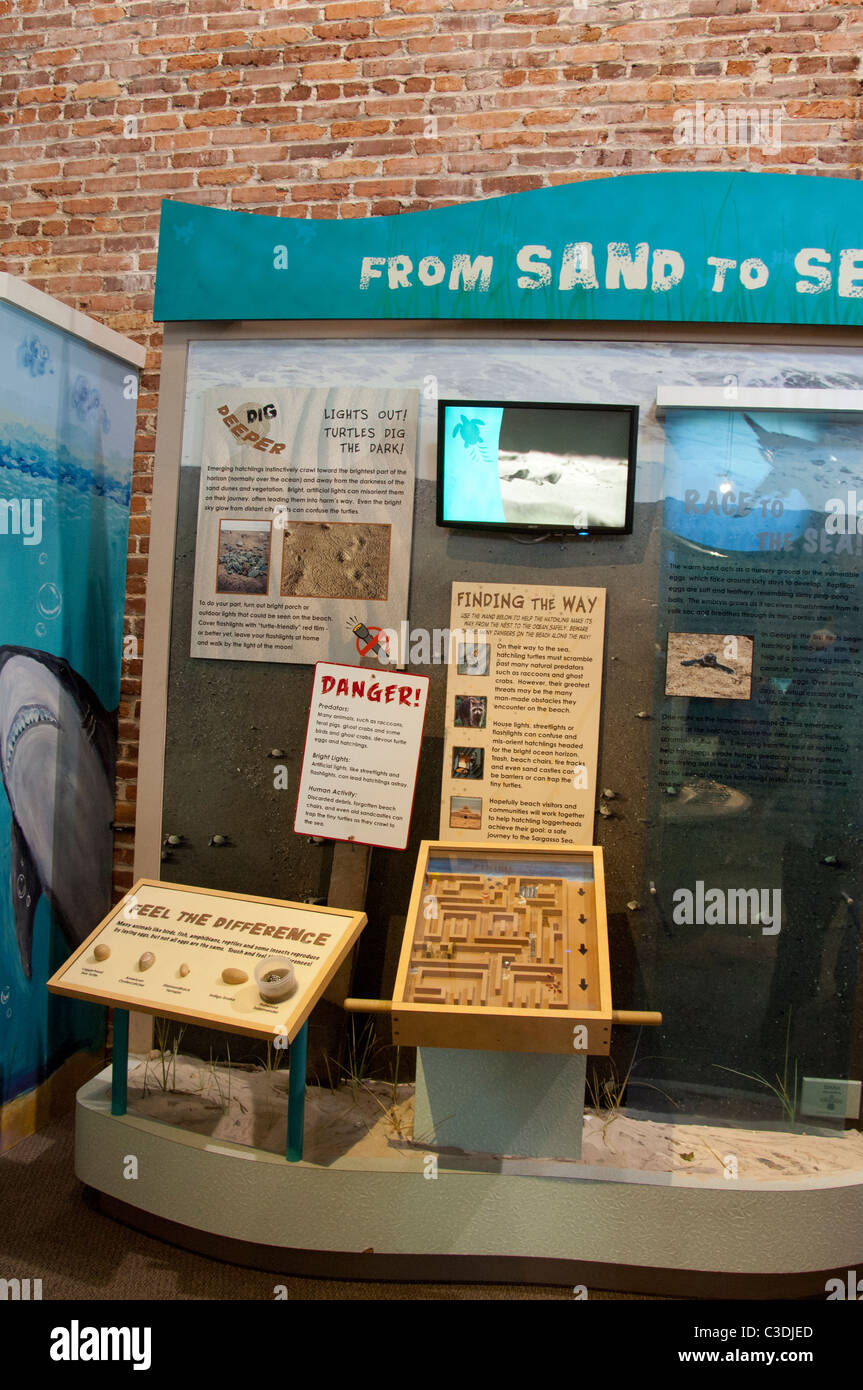 Georgia, Jekyll Island. Georgia Sea Turtle Center Stock Photo - Alamy