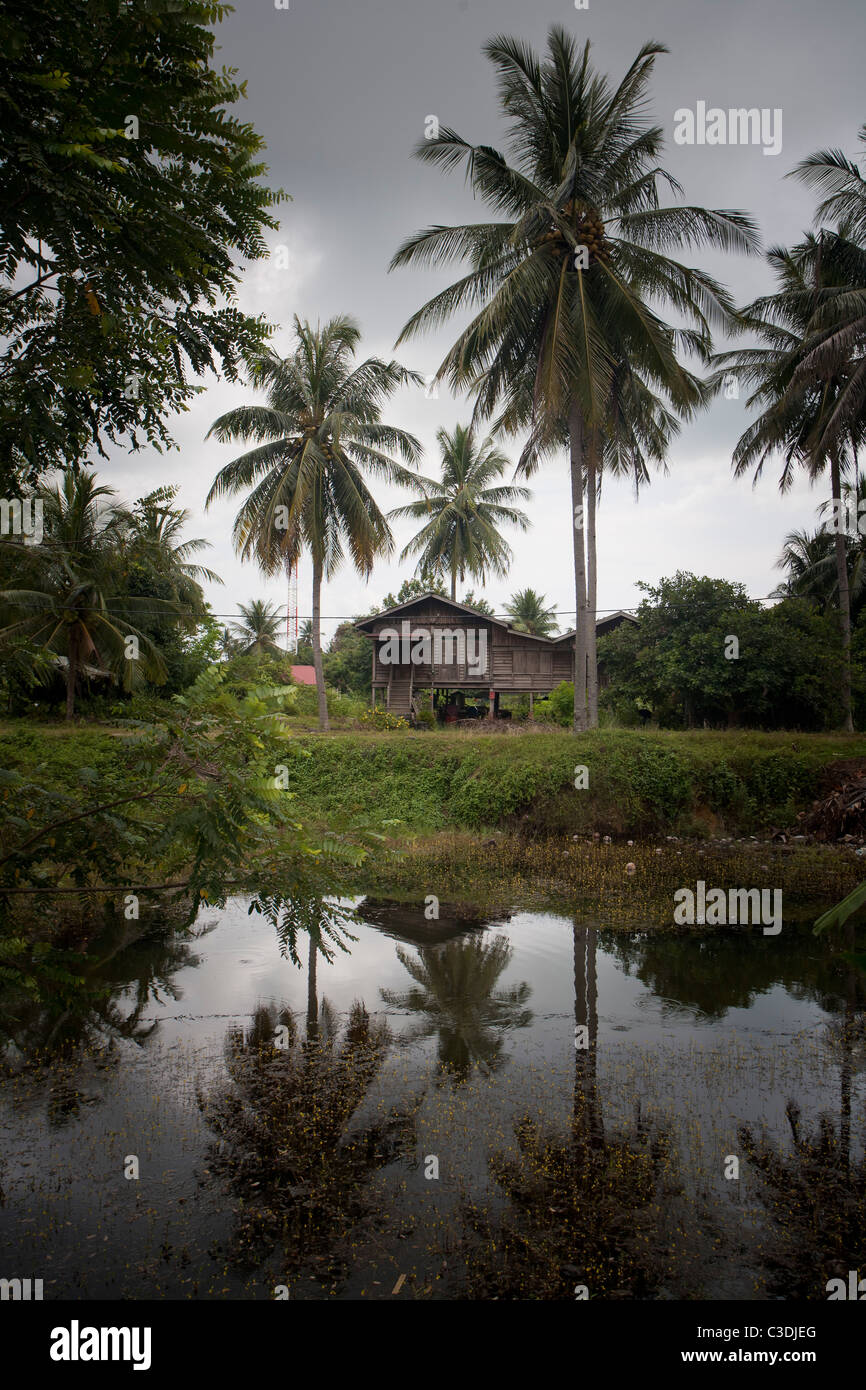 An isolated hut at an opening in the forest, South east Asia Stock ...