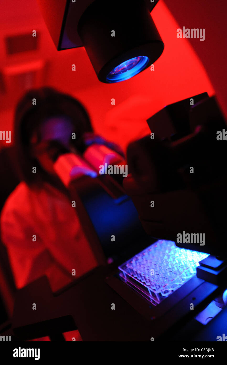 Female scientist in science darkroom with red lighting looking down ...