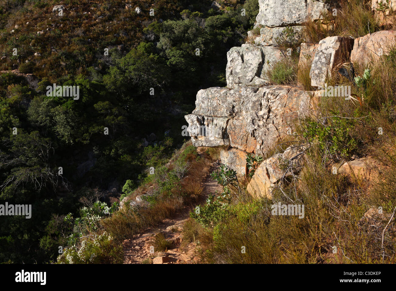 Table Mountain, Cape Town, South Africa Stock Photo - Alamy