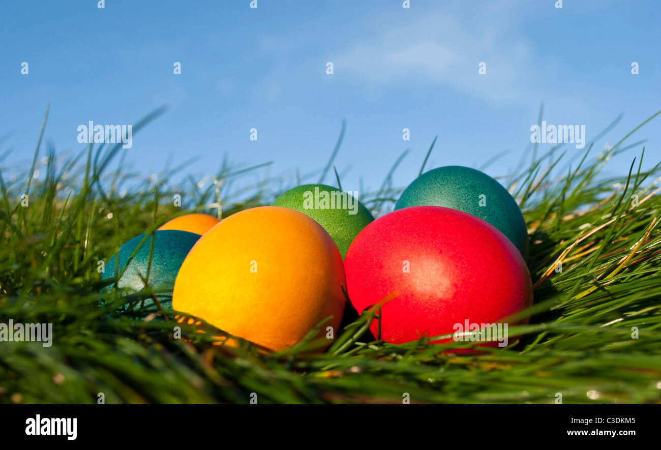 T outdoor grass hi-res stock photography and images - Alamy