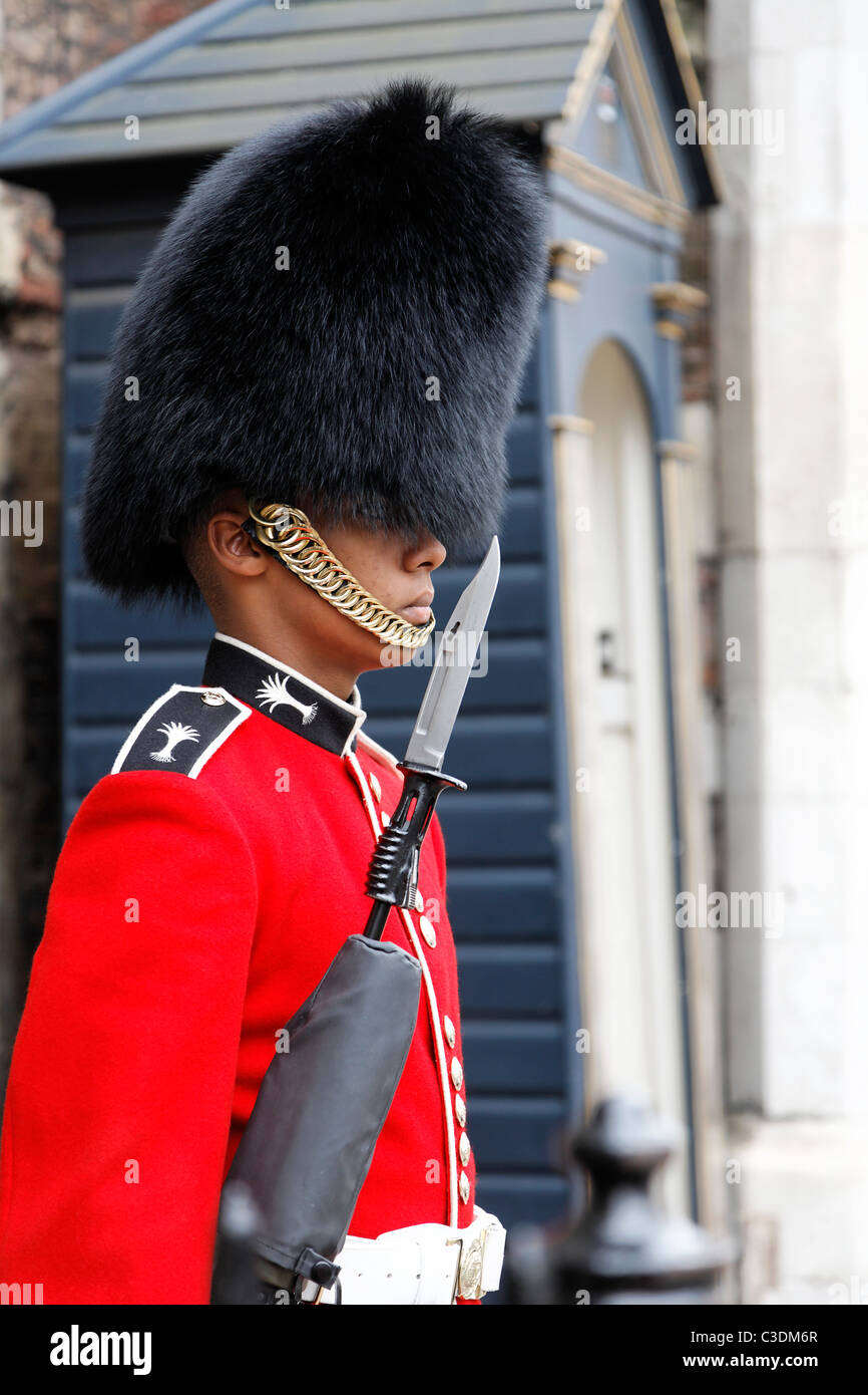 London Soldier Hat at Lauren Blackwell blog