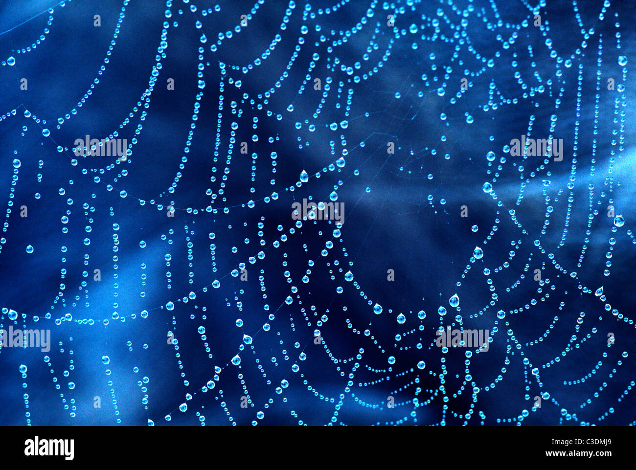From threads hi-res stock photography and images - Alamy