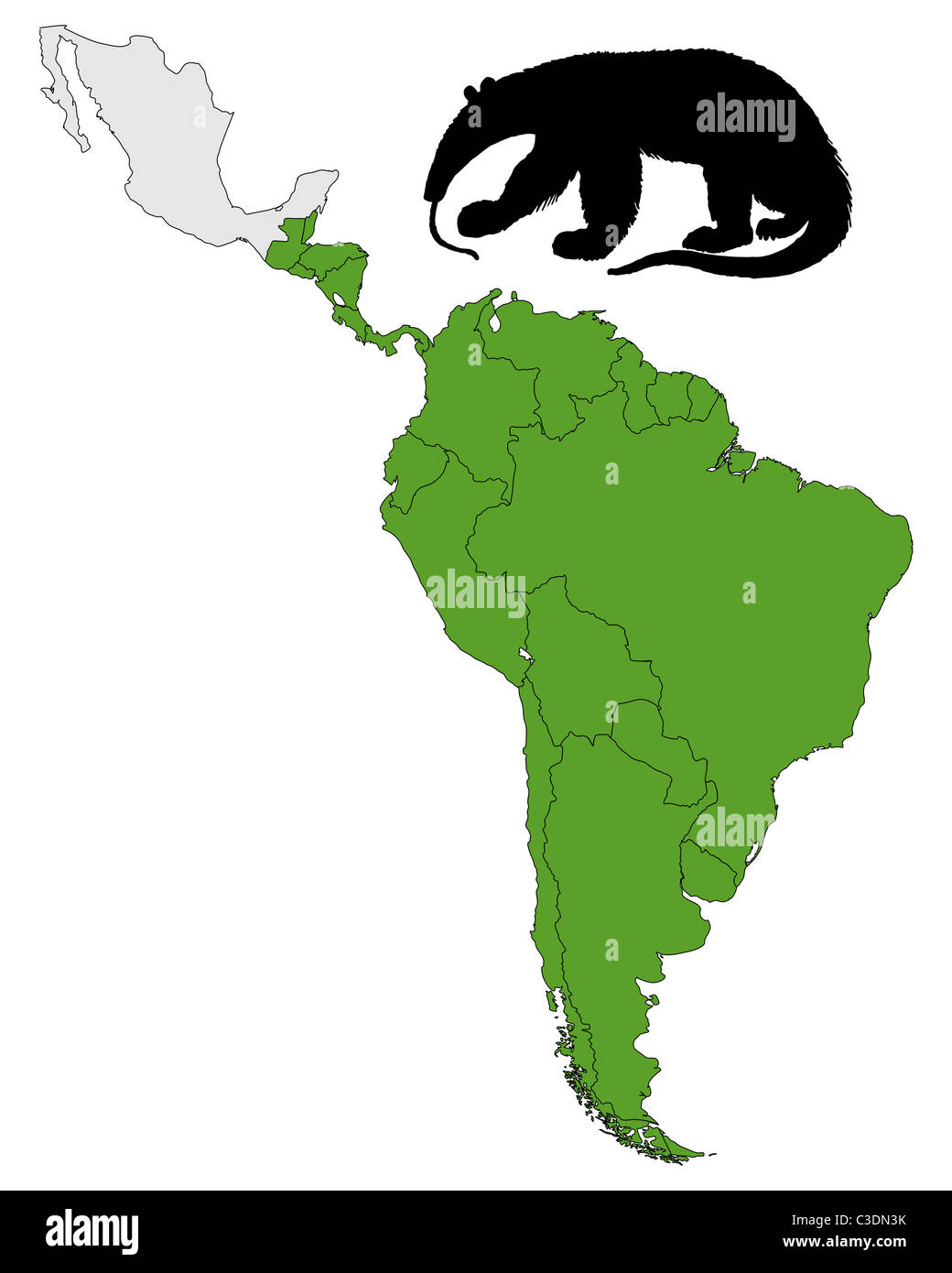 Giant anteater range Stock Photo - Alamy
