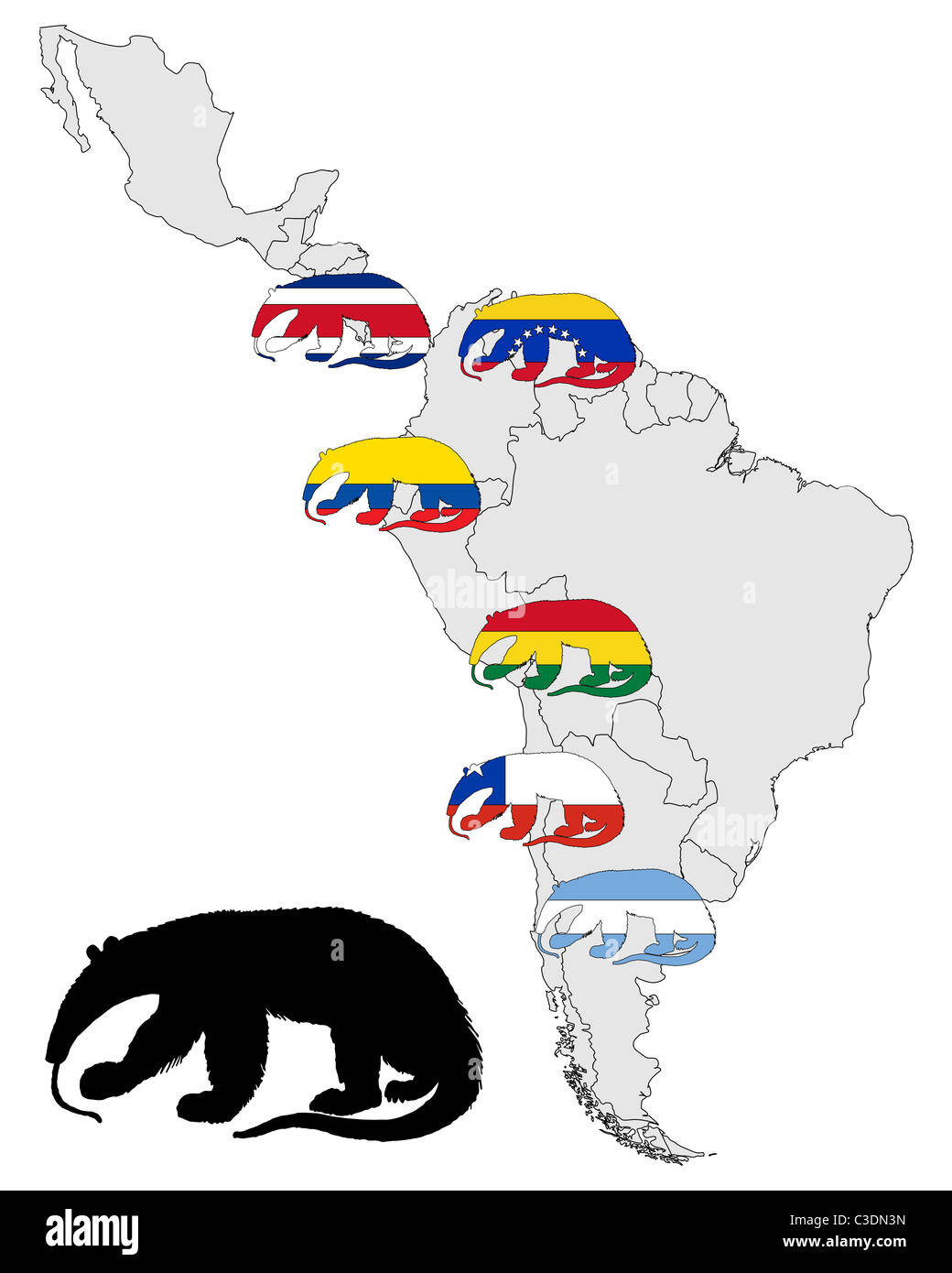 Giant anteater range America Stock Photo - Alamy